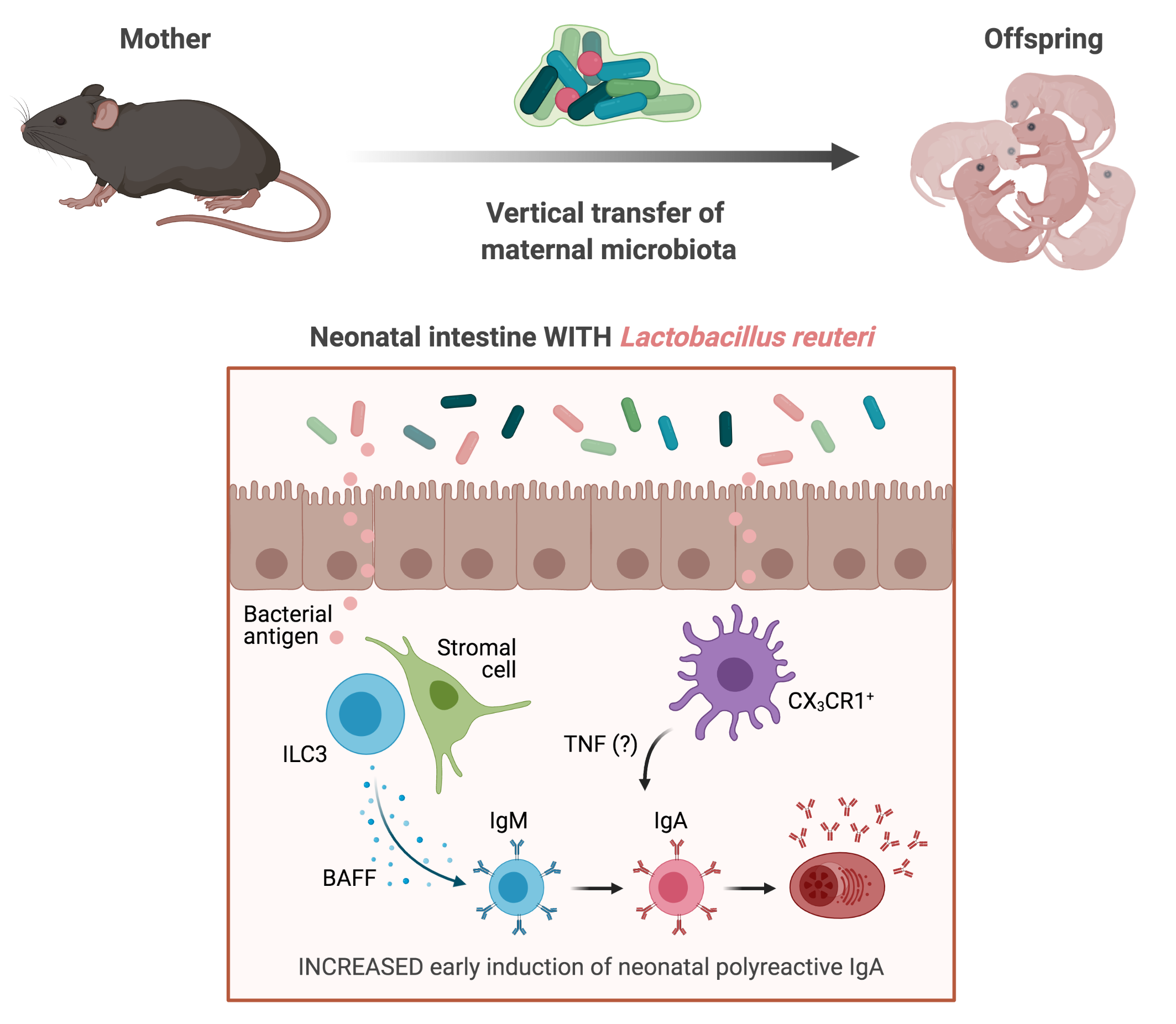 Research – Luo Laboratory